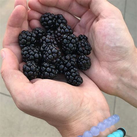 Kathy Dinger Kdinger Twitter