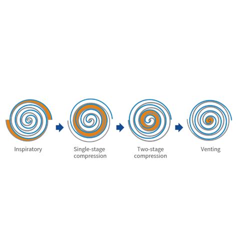 Scroll Vs Rotary Compressors Which One Is Right For You Ruego Compressor