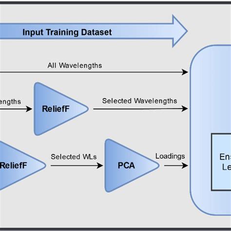 flow diagram of the dataset processing used as input for training the