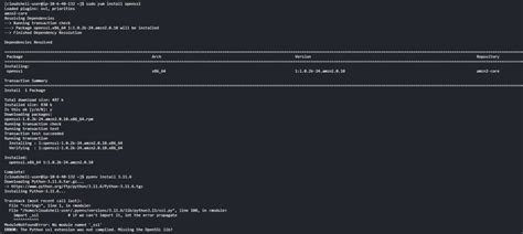 Aws Cloudshellでpython311互換のopencv Pythonのlambda Layerを作る ソフトウェア開発の