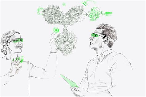 Differences Between Monoclonal Antibodies And Recombinant Monoclonal Antibodies Evitria