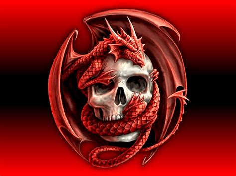 Skeleton 4k Wallpapers Top Free Skeleton 4k Backgrounds Wallpaperaccess