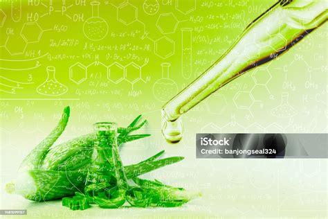 흰색 바탕에 알로에 베라와 과학 실험실 병 흰색 배경에 알로에 베라 병과 추출물 과학 실험 과학 파란색 유리관 실험 시험관에 떨어지는 액체 방울이 있는 실험실 유리 제품 0