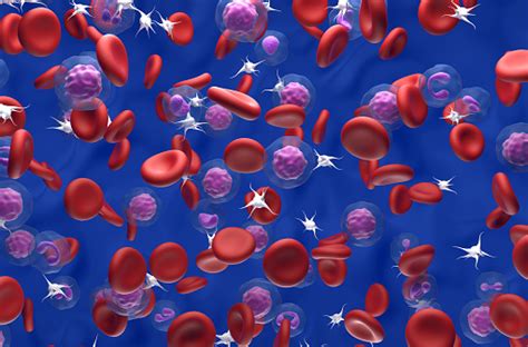 진성적혈구증가증의 높은 수준의 적혈구 및 혈소판 등각 투영 보기 3d 그림 0명에 대한 스톡 사진 및 기타 이미지 0명 3차원 형태 건강관리와 의술 Istock