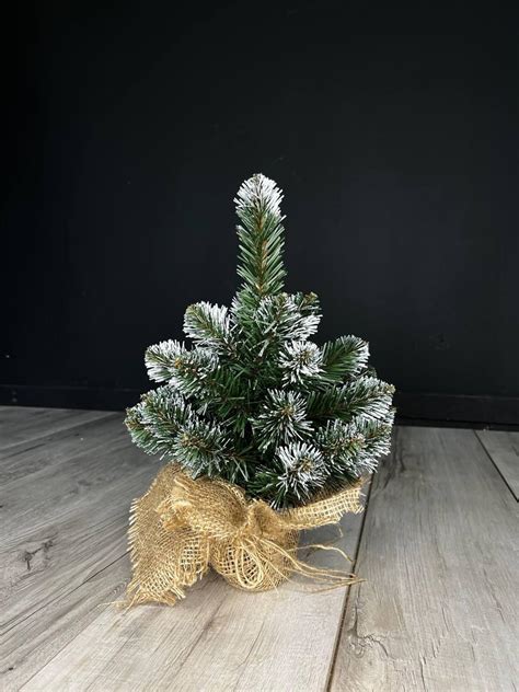 ᐉ Ялинка Sgb у горщику з ПВХ 35 см Зелений з білими кінчиками • Краща ціна в Києві Україні