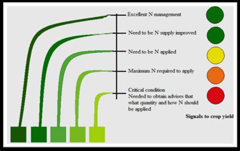 Lcc Colours Are Guiding For Nitrogen Application Download Scientific Diagram