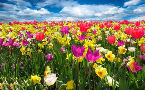 Add Custom Functionality To A Spring Data Repository Dzone