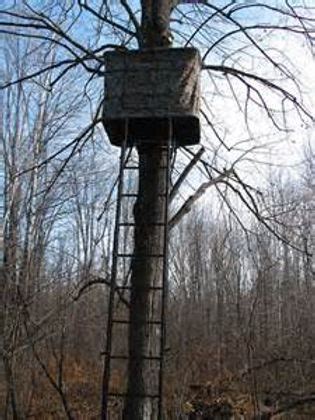 How To Set Up Treestand Right