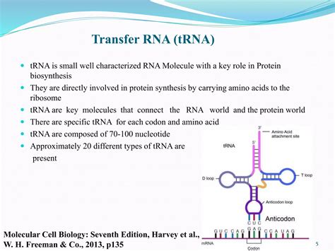 Cloning Expression And Purification Of Trna Intron Splicing Endonuclease Of Plasmodium