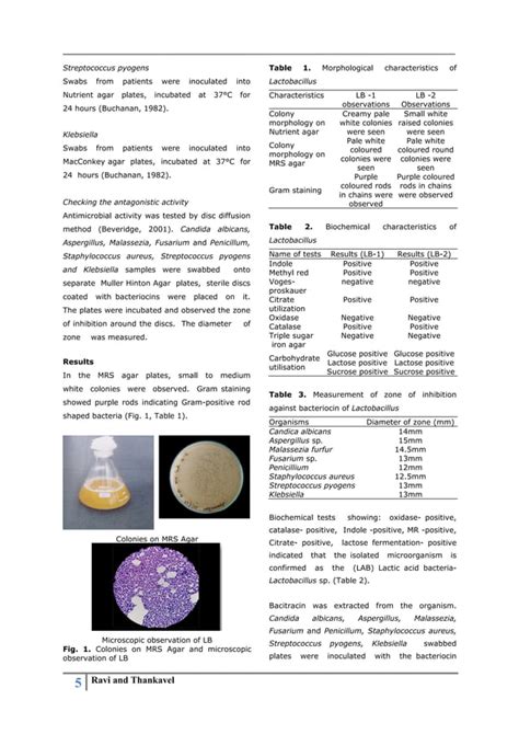 Bacteriocin And Its Effect Against Skin Pathogens Pdf
