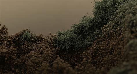 How Does Bioaugmentation Differ From Biostimulation In Contaminated