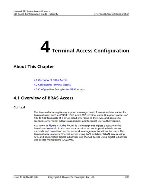 Terminal Access Configuration Pdf Radius Computer Network