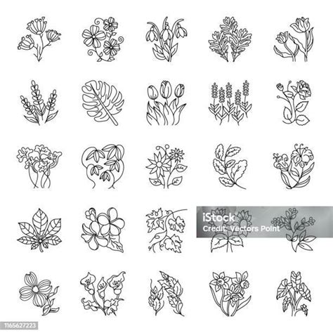 손으로 그린 꽃 아트 팩 0명에 대한 스톡 벡터 아트 및 기타 이미지 0명 꽃 나무 꽃 식물 Istock