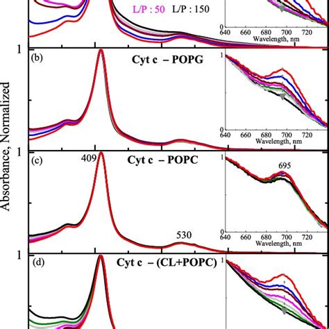 Femtosecond Time Resolved Transient Absorption Spectra Of Cyt C−cl