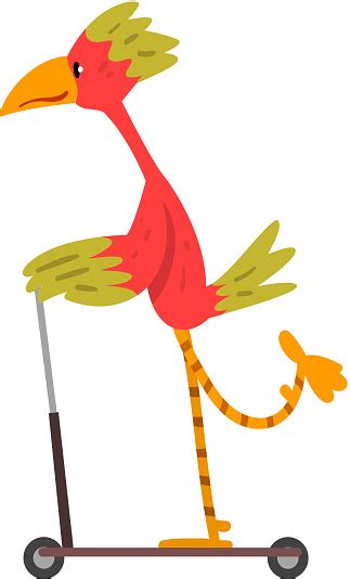 다채로운 새는 킥 스쿠터 차량 벡터 일러스트 레이 션을 사용 하 여 재미 있는 새 문자를 타고 거리에 대한 스톡 벡터 아트 및 기타 이미지 Istock