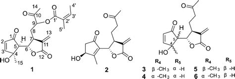 Structures Of Compounds Download Scientific Diagram