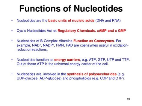 Nucleotide Structure Function Dr M Muzaffar Mir