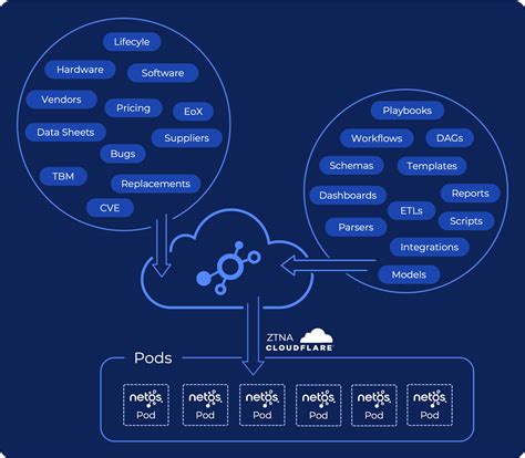 Netos Insights Netos