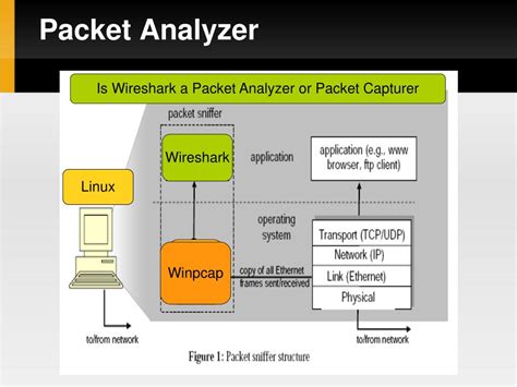Ppt Extending Wireshark For A New Protocol Varun Notibala Cisc 856