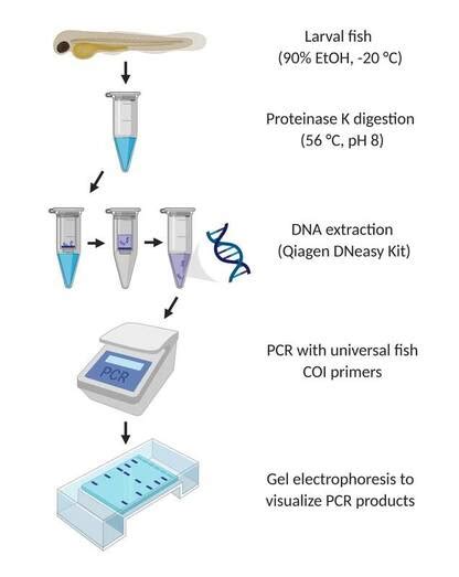 Research Filbrun Aquatic Ecology Lab