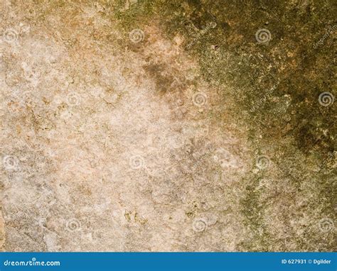 Macro Texture Stone Mottled Stock Image Image Of Backgrounds