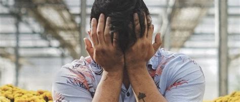 Endodermo Partes Y Desarrollo En La Gestación