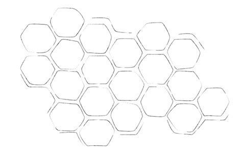프로 폴리스 스케치 벌집의 흑백 이미지 꿀벌 꿀과 프로 폴리스 벡터 손으로 그린 빗 프리미엄 벡터