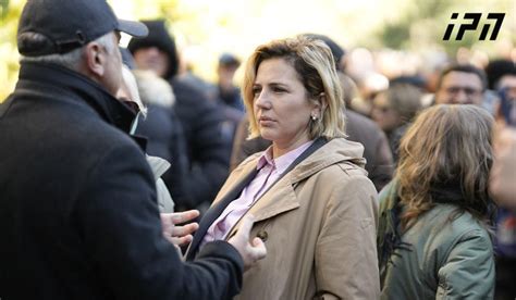 ანა დოლიძე 8 ქვეყნის საპარლამენტო დელეგაციასთან შეხვედრაზე პირდაპირ