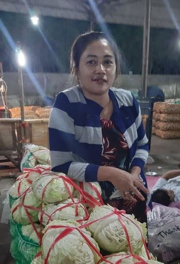 Harga Kol Naik Lagi — Brokoli Dan Bunga Kol Juga Naik Sayur Botol Dan Selada Turun Putih