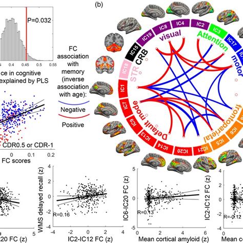 Brain Cognition Relationship Between Partial Functional Connectivity Download Scientific
