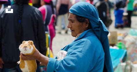 흰색과 갈색 개를 들고 파란 가운을 입은 여자 사진 Unsplash의 무료 오타발로 이미지