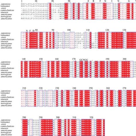 Pdf Identification And Molecular Characterization Of Cathepsin L Gene