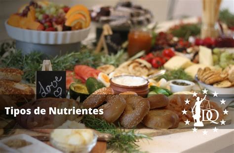 Tipos De Nutrientes Udoctrinaqualitas