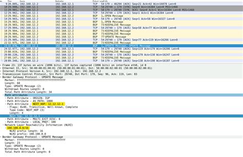BGP Prefix Advertisement