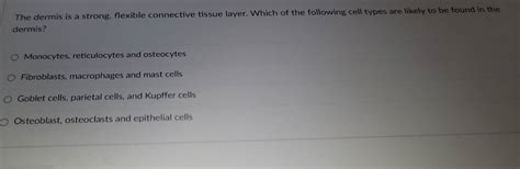 The Dermis Is Strong Flexible Connective Tissue Layer Which Of The Following Cell Types Likely