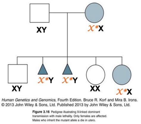 Week 2 Dla 11 Autosomal Dominant And Recessive Disorders Dla 12 X Linked Dominant