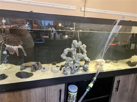 First Cleaning With Python Raquariums