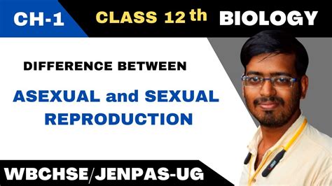 Difference Between Asexual And Sexual Reproduction Class 12 Biology Reproduction In Organisms
