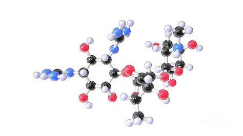 Streptomycin Art Fine Art America