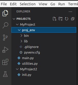 Python Virtual Environment When And How To Use It Wellsr Com