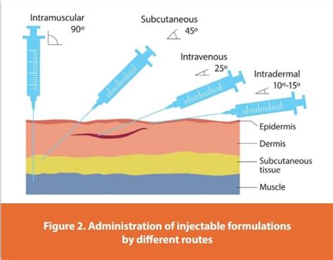 Long Acting Injectable Nanoparticle Formulations American