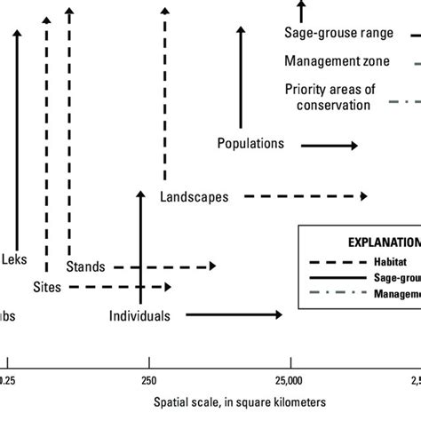 Hierarchy Of Patterns Across Spatial And Temporal Scales And The