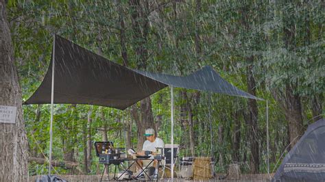 새 텐트로 우중캠핑 9시 입실 5시 퇴실 서울근교 캠핑장 여름 최적의 세팅 솔로 미니멀캠핑 가성비 캠핑냉장고 폴라리스 M1 방염타프 Youtube