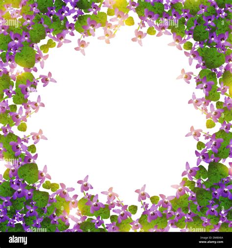 Wild Violet Border Stock Vector Image Art Alamy