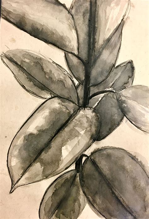 Plant” 5 X 8 India Ink Drawing Of Plant On Tinted Paper