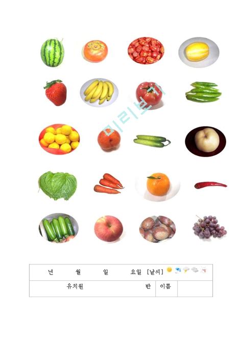 색깔도깨비색프로젝트 동화프로젝트 주제선정의 이유 주요개념 주제망 활동유형별 예상안 프로젝트 교육계획안 색깔프로젝트 프로젝트 창의활동지 문학적접근법사범교육레포트