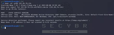Ldap Pentesting Best Practices Secybr Penetration Testing Red Teaming And Hack Tricks
