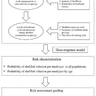 Risk Model Framework Download Scientific Diagram