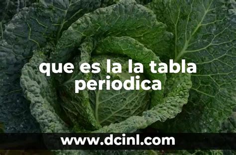 Que Es Una Tabla De Access Y Para Que Sirve 5 Ejemplos