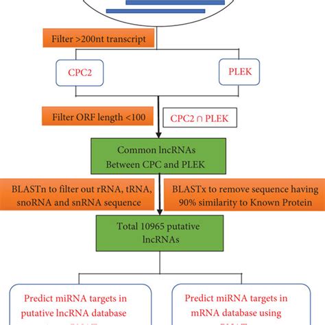 computational pipeline for systematic identification of lncrnas and